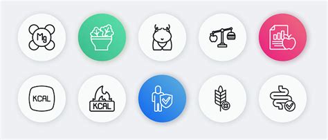 세트 라인 건강한 라이프 스타일 다이어트 계획 Kcal 글루텐 프리 곡물 칼로리 계산기 비만 내장 및 아이콘 벡터 개념에 대한