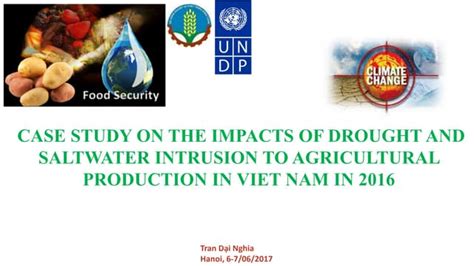 Viet Nam Case Study Impacts Of Drought And Saltwater Intrusion To