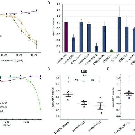 Visualized Binding And Localization Of VLP With Stabilized VLP M Or Download Scientific