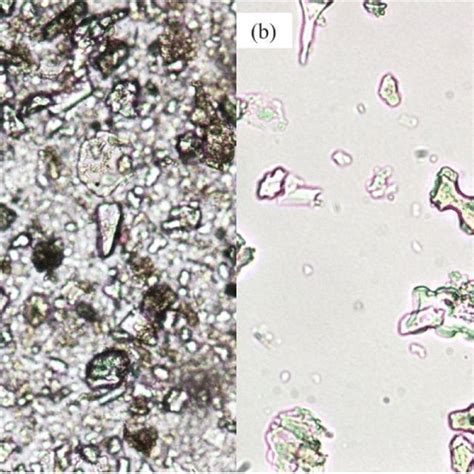 Phytolith Extraction Using Microwave Digestion Parr 2002 Followed By