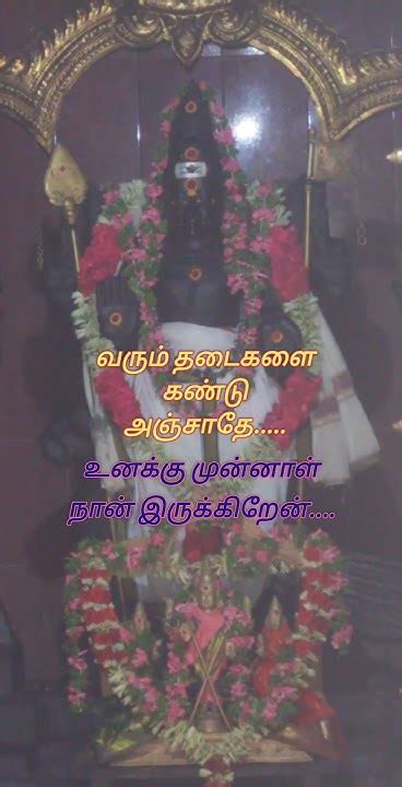 Tamil Kadavul Murugar Whatsapp Status 🙏🙏🙏 Youtube