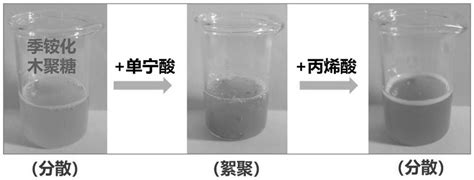 Hydrogel With Wet State Adhesion Property As Well As Preparation Method