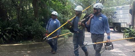 Tree Trimming Service Heritage Tree Care