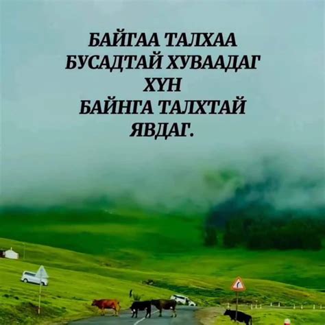 Нархан бөөний хувцас