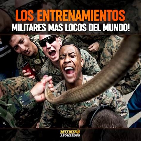 Los Entrenamientos Militares Mas Locos Del Mundo Los Entrenamientos Militares Mas Locos Del