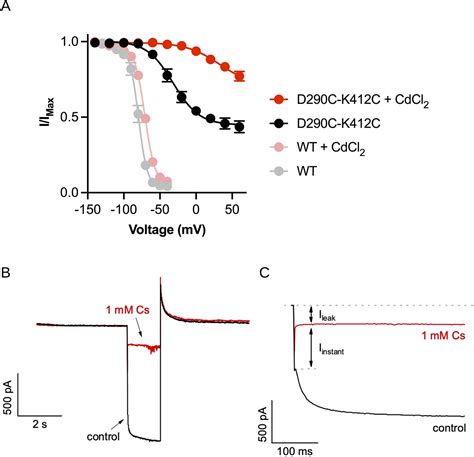 Figures And Data In Interplay Between VSD Pore And Membrane Lipids In Electromechanical