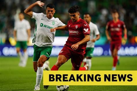 Tottenham Transfer News Pedro Porro Optimism