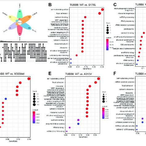 Genes Included In The Target Sequencing Panel And Their Phenotypes Download Scientific Diagram