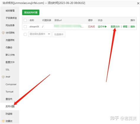 python streamlit部署到服务器实现域名80端口访问宝塔面板 知乎