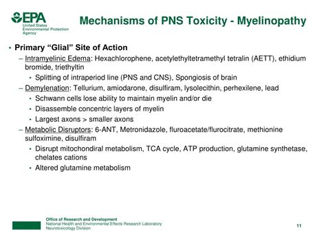 Ppt Delineating Toxicity Pathways Of Peripheral Neuropathy Powerpoint
