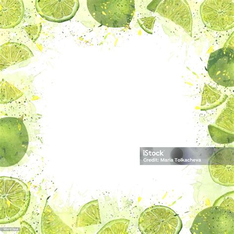 감귤 주스가 튀는 육즙이 풍부한 잘 익은 라임 흰색 바탕에 고립된 정사각형 프레임 텍스트 공간을 복사합니다 수채화 여름 식물