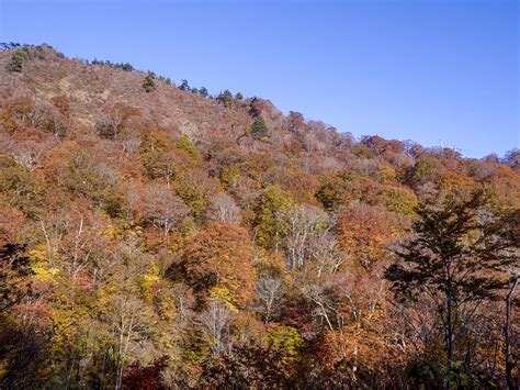 谷川岳の紅葉20236 Ito Wokashi