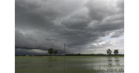 Фермери с пострадали от дъждовете площи могат да подадат заявление за обследване Български Фермер