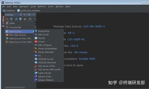DataGrip 保姆级教程 知乎