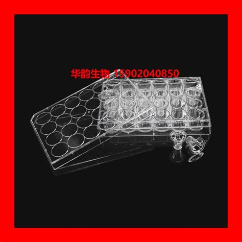 Transwell小室细胞培养小室，含24孔板（pc膜，65mm，孔径80um，替代3422353097） 产品关键词24孔板小室一个24孔板多少钱