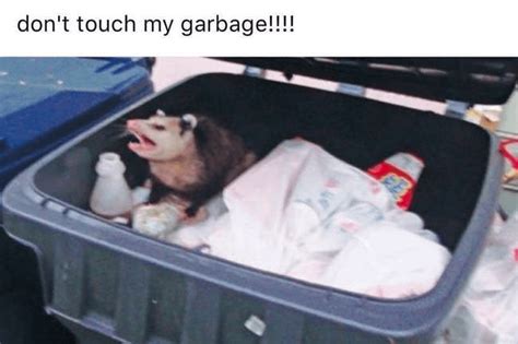 me showing off my emacs config r emacs