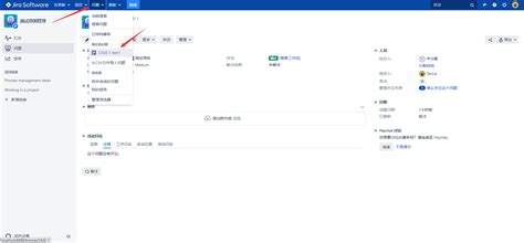 测试的流程，jira工具的使用 Csdn博客