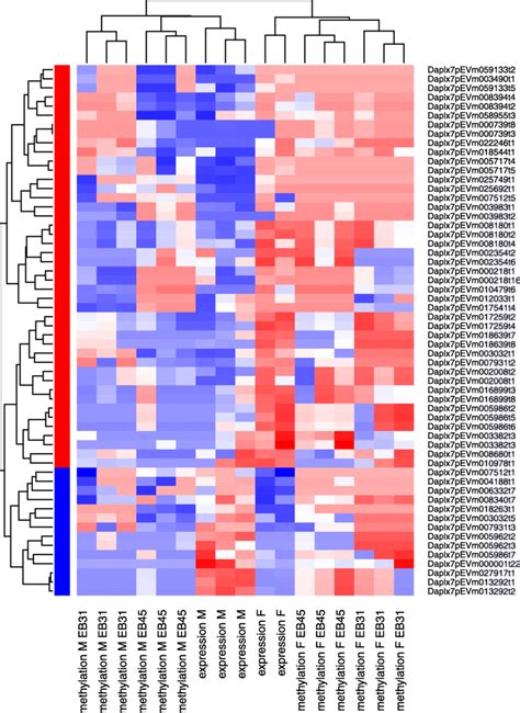 Heatmap Of Expression And DNA Methylation For The Transcripts That