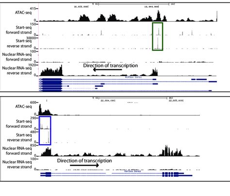 A Panel 1 Left Heatmap Of Atac Seq Signal Mapping In A 20 Kb Window