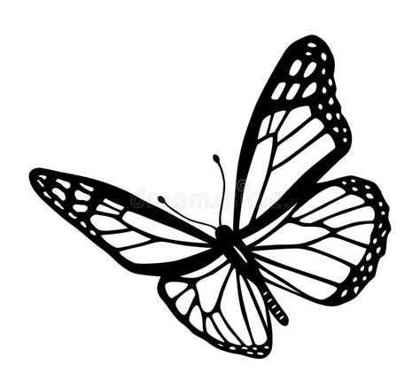 Mariposa Siluetas Negras En Blanco Stock de ilustración Ilustración