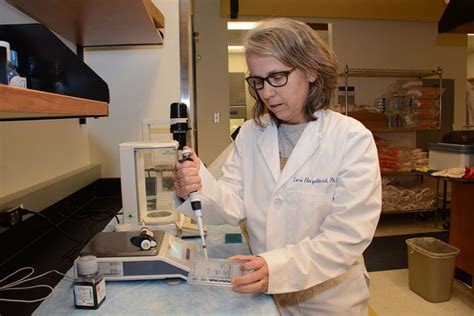 Wvu Researchers Unite In Search Of New Drug To Treat Lung Cancer E