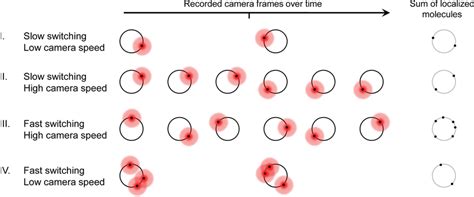 The Influence Of Single Molecule Switching Kinetics And Camera Frame Download Scientific