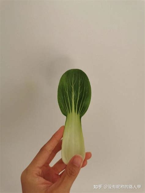 菜人菜语 知乎