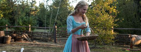 Cinderella Feeding Her Friends 4k Wallpaper Download