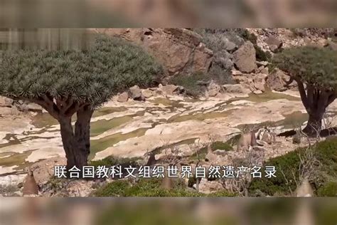外星人基地？深不可测？7个最神秘的岛屿外星人岛屿