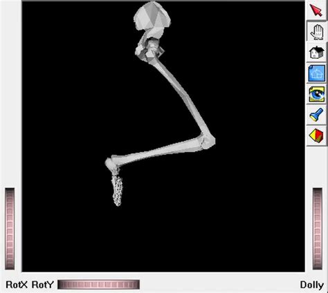 Github Gamzekecibascomputer Based Simulation Course Assignments Of
