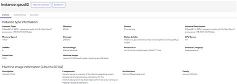 Gaudi2 Deep Learning Server — Developer Cloud Docs Documentation