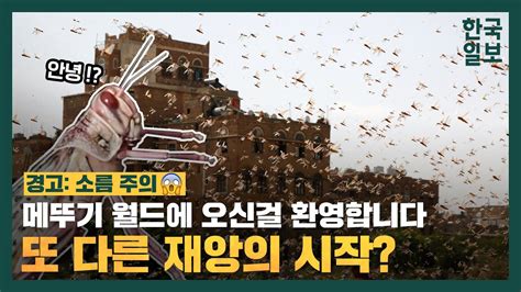 코로나보다 무섭다 재앙의 시작 메뚜기 떼 세계 곳곳에 극성 Youtube