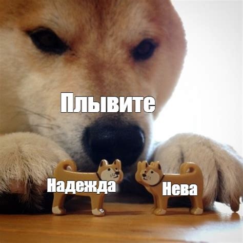 Мем Плывите Надежда Нева Все шаблоны Meme