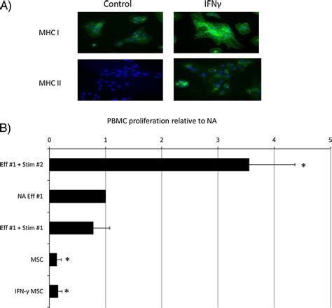 Proliferation Of Equine Pbmcs Is Suppressed By Co Culture With Equine