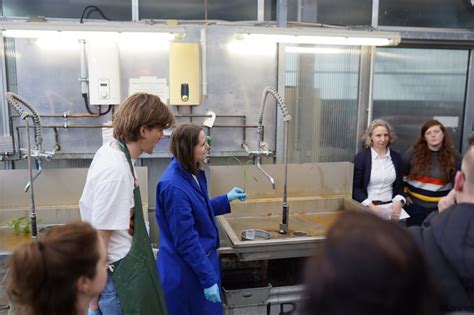 Root Phenotyping Workshop 2024