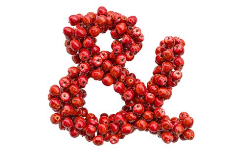 빨간색 사과에서 앰퍼샌드 기호 흰색 배경에 격리 된 3d 렌더링 앰퍼샌드에 대한 스톡 사진 및 기타 이미지 앰퍼샌드 3차원 형태 음식 Istock