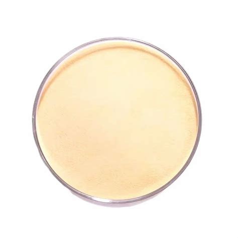 Saccharomyces Cerevisiae Yeast Packaging Size 25 At ₹ 625box In