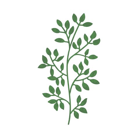 Green Plant Illustration Vector Art At Vecteezy