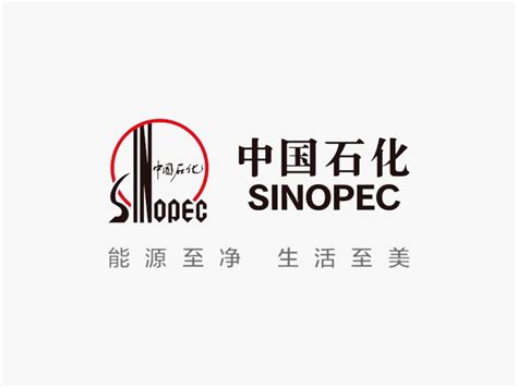 Giải Pháp Tầm Nhìn Và Sứ Mệnh Của Sataka Việt Nam