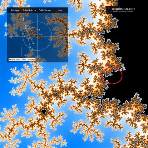 Mandelbrot Orbits
