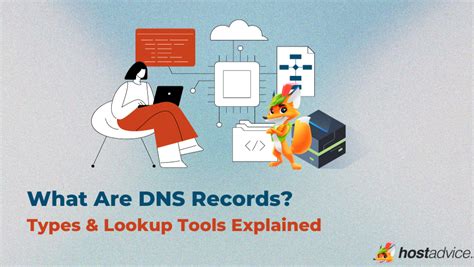 What Are DNS Records Types Lookup Tools Explained
