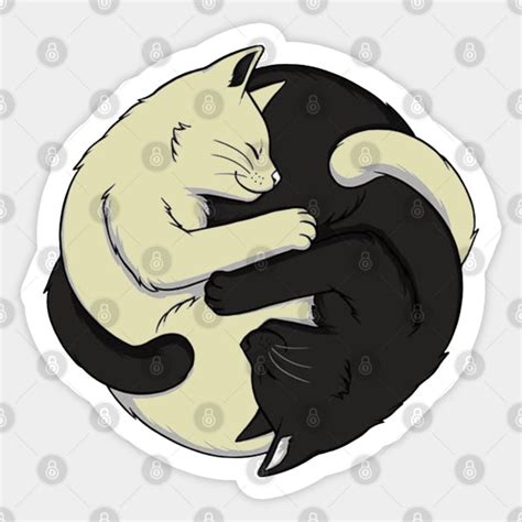 Sleeping Yin Yang Balancing Cats Sleeping Yin Yang Balancing Cats