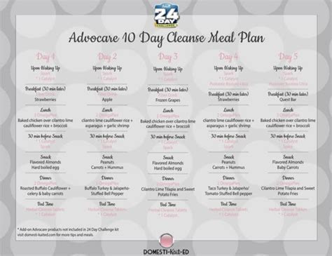 10 Day Cleanse Diet Meal Plan Rutrackercellular