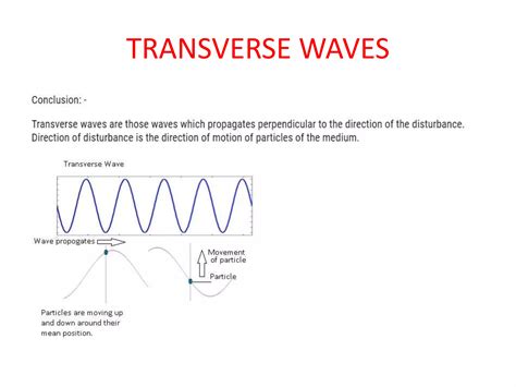 Ppt On Waves Class 11 Pptx