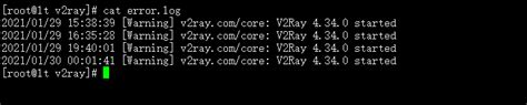 服务端 panic runtime error slice bounds out of range Issue v fly v ray core GitHub