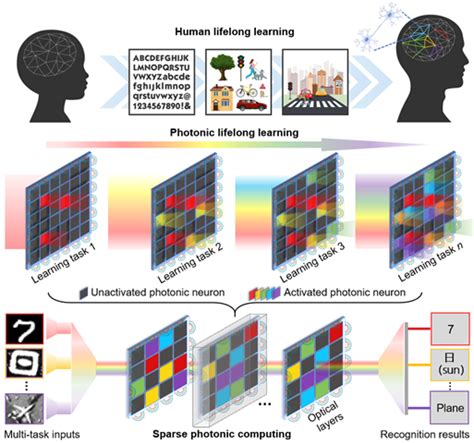 Photonic Neuromorphic Architecture For Tens Of Task Lifelong Learning
