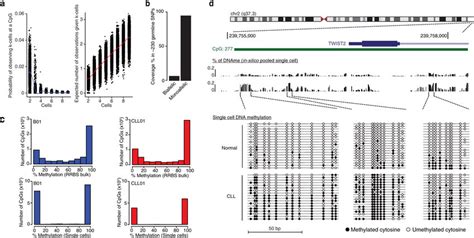 Single Cell Dna Methylation Coverage Analysis A The Approximately 10 Download Scientific