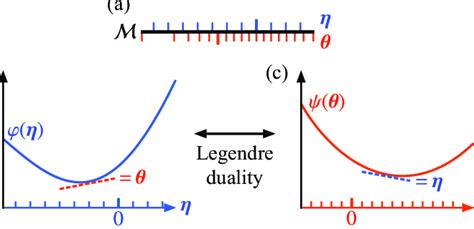 schematics of a dually flat geometry sketched for a one dimensional
