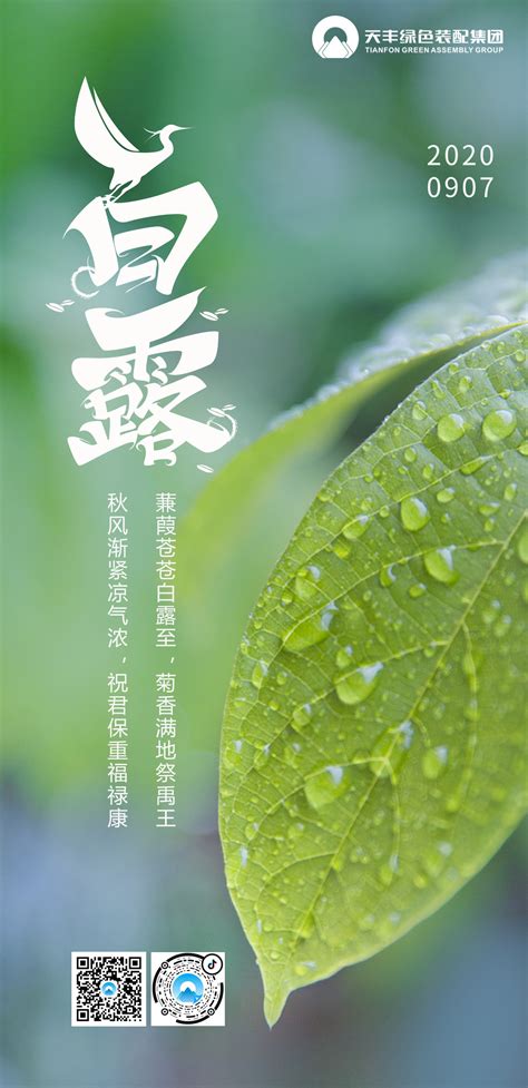 今日白露 蒹葭苍苍白露至菊香满地祭禹王秋风渐紧凉气浓祝君保重福禄康 集团新闻 新闻中心 天丰绿色装配集团有限公司