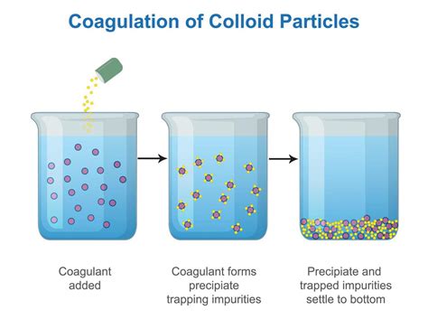 Coagulation Of Colloid Particles Vector Illustration 21669350 Vector Art At Vecteezy